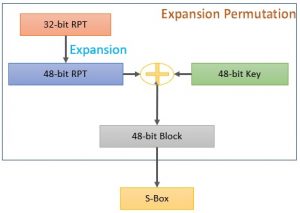 What is Data Encryption Standard (DES)? Definition, Working, Advantages and Disadvantages ...